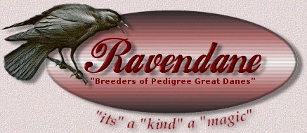 Blue and Black Danes